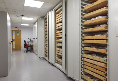 Storage Solutions | Static & Mobile Storage & Shelving | Rackline