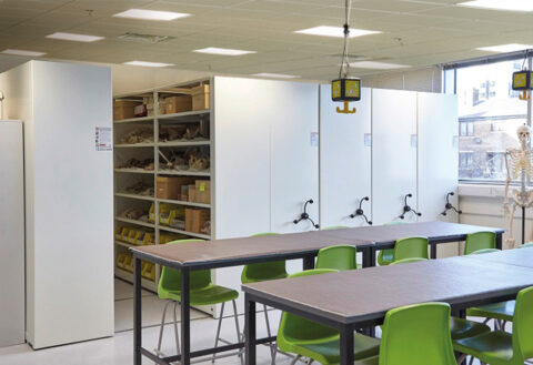 Storage Solutions | Static & Mobile Storage & Shelving | Rackline