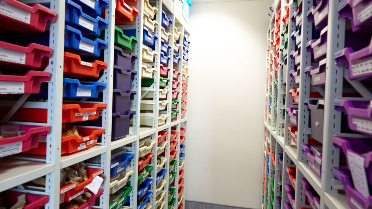School storage solutions for your new term - Rackline