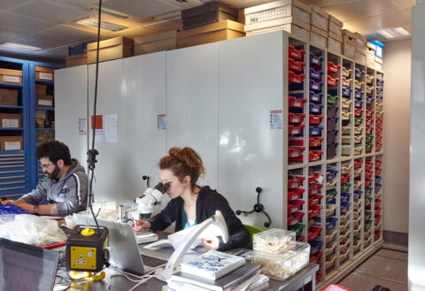 Storage Solutions | Static & Mobile Storage & Shelving | Rackline